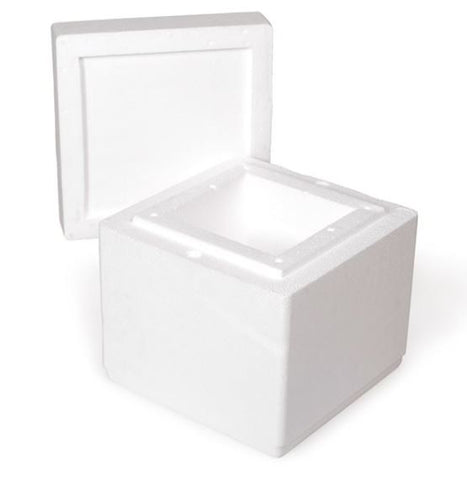 DRY ICE STORAGE CONTAINER PS WITH PLUG TYPE LID 5L – thelabwarehouse.com